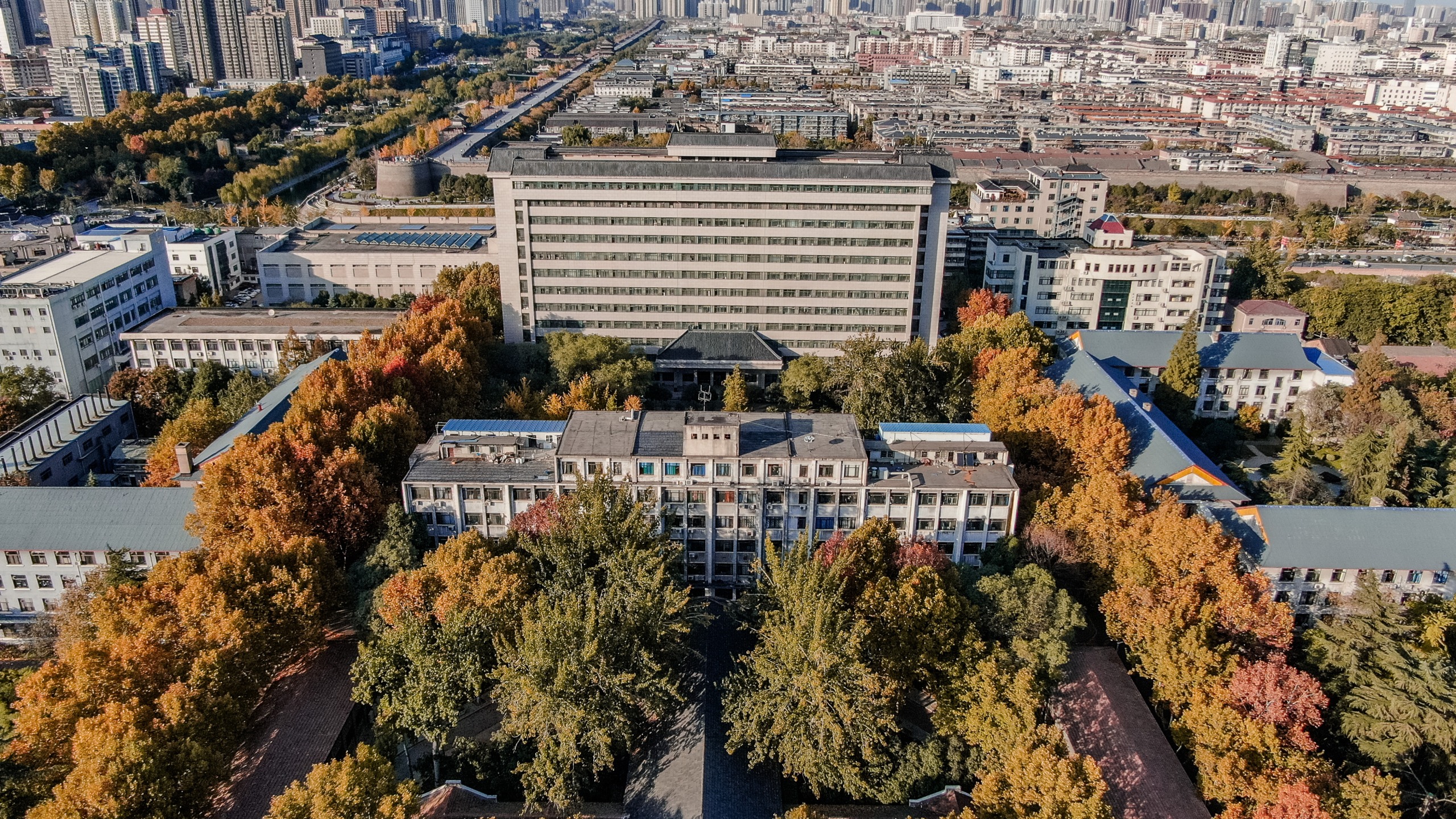 Colnet International – A chance to provide formative experience